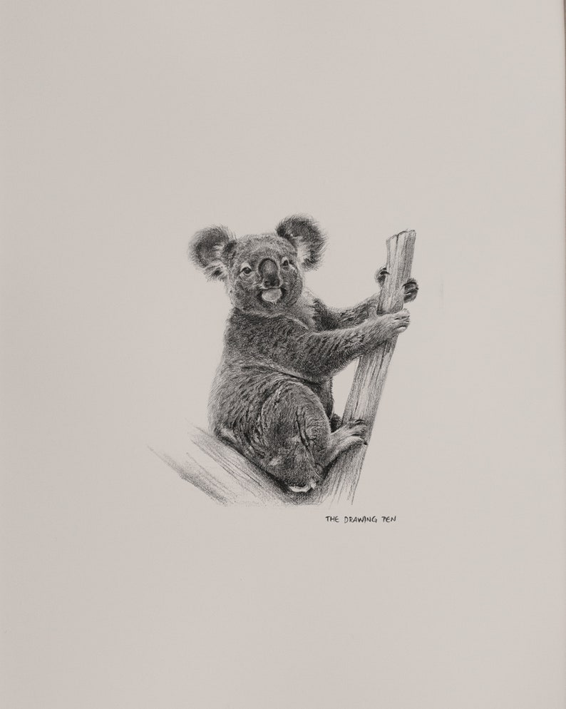 Koala Pencil Drawing Wall Art | Minimalist Animal Wall Art Pencil ...