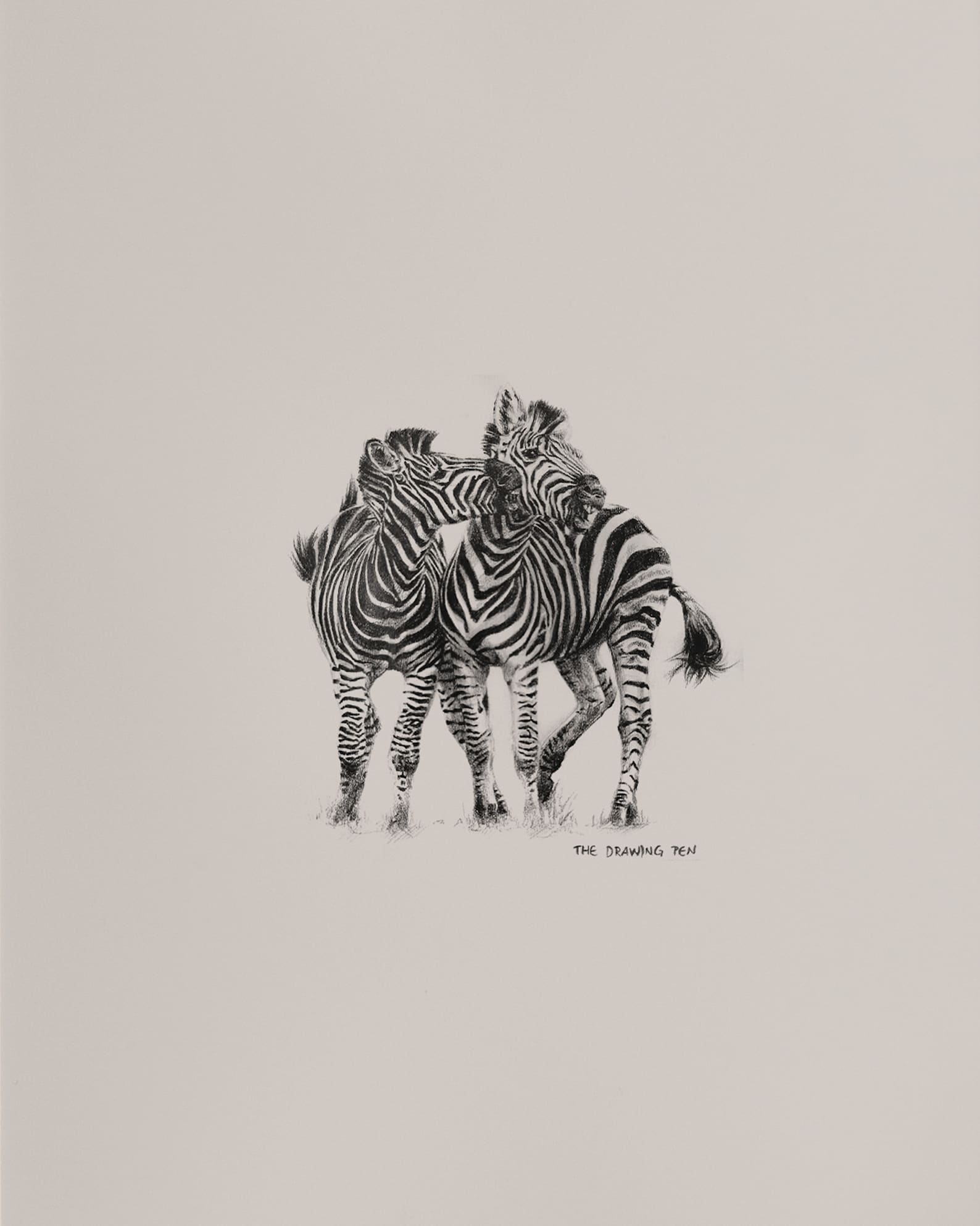 Zebra Pencil Drawing Wall Art Minimalist Animal Wall Art - Etsy