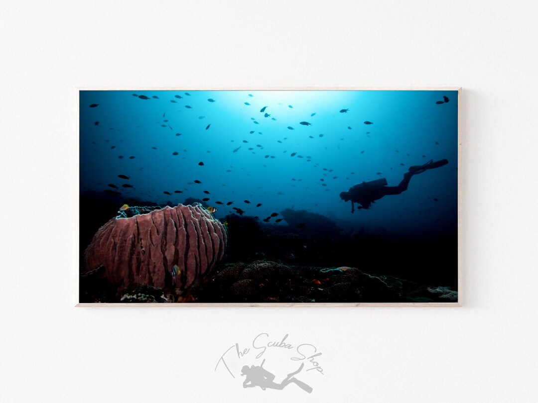 Samsung Frame TV Art | Scuba Diver & Barrel Sponge Frame TV ...