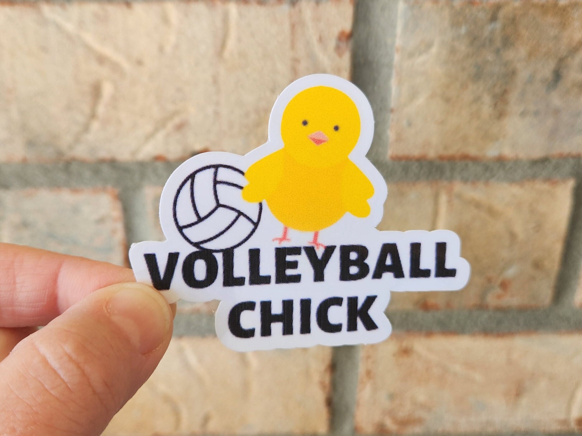 Volleyball Stickers, Volleyball Chick Sticker, Die Cut Vinyl Sticker ...