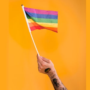 12 Rainbow Pride Flags Last Chance Clearance Small LGBTQ Pride Flags ...