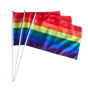 12 Rainbow Pride Flags Last Chance Clearance Small LGBTQ Pride Flags ...