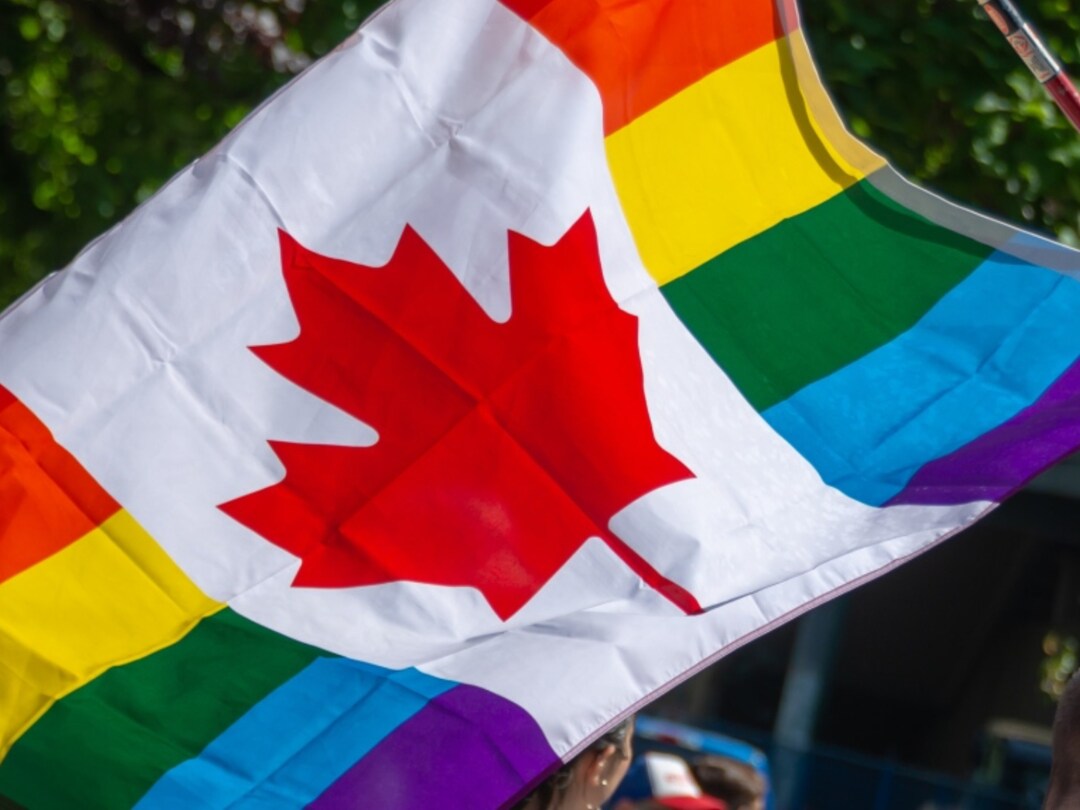 Canadian LGBTQ Pride Flag Lesbian and Gay Pride Apparel Pride Parade ...