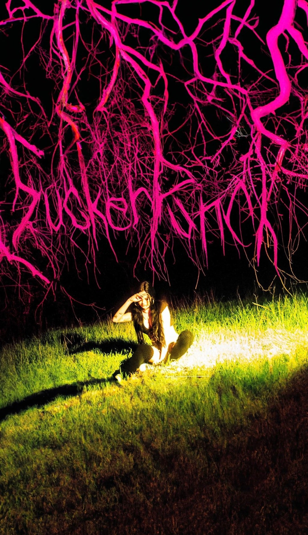 Maggie Lindemann SUCKERPUNCH Album Poster - Etsy