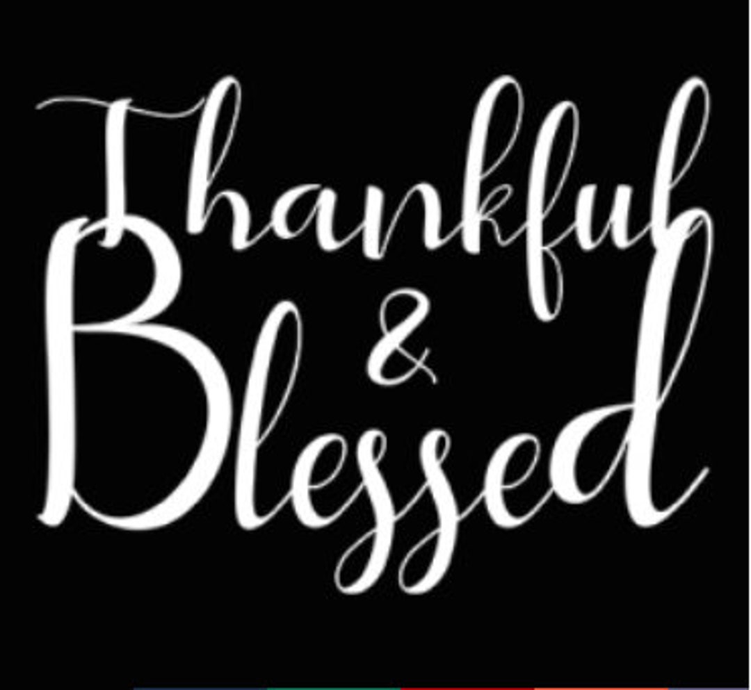 Thankful and Blessed T-shirt, Thankful Tee, Thanksgiving Apparel, Blessed Tee Shirt, Blessed T ...