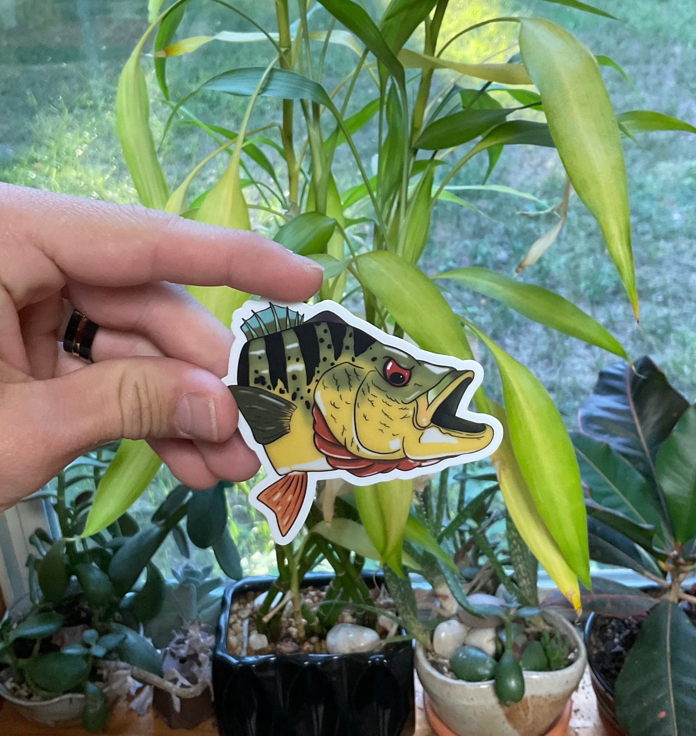 Peacock Bass Fishing Sticker - Etsy