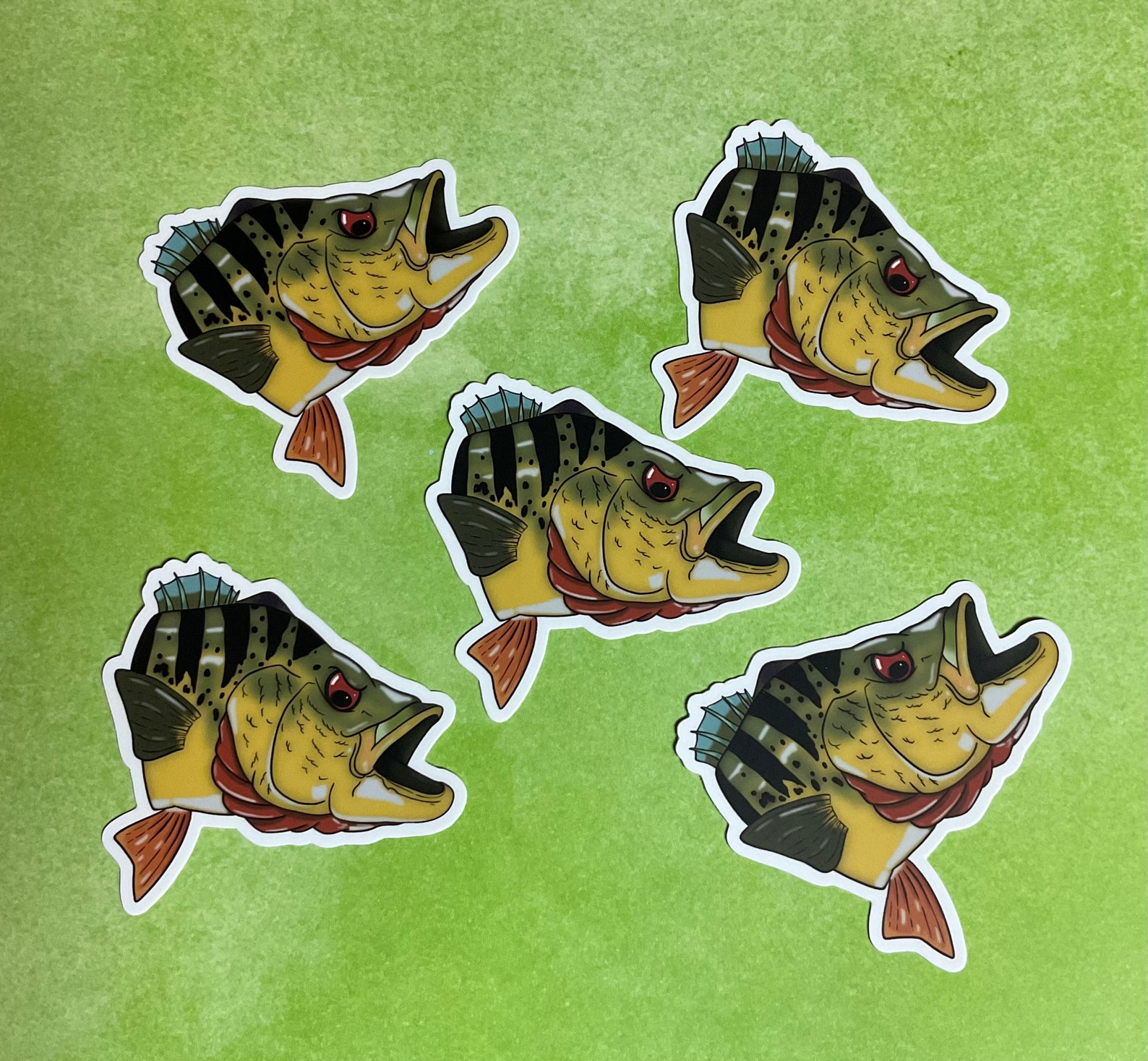 Peacock Bass Fishing Sticker - Etsy