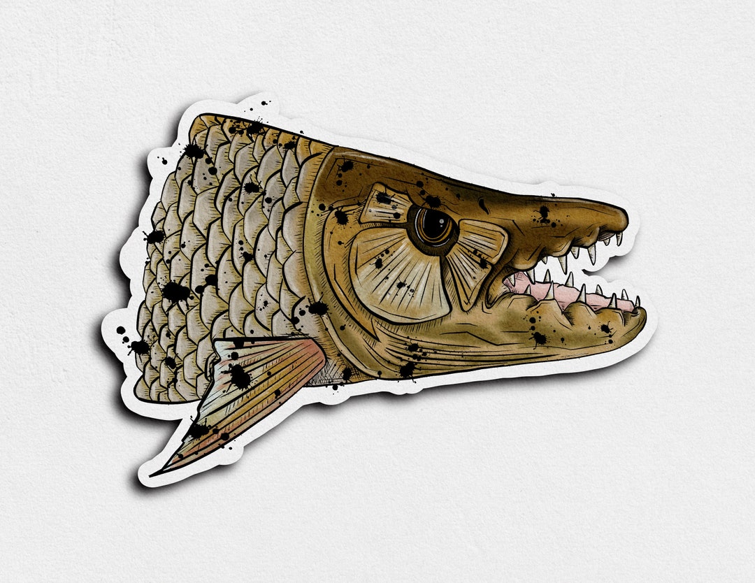 Goliath Tigerfish Graphic Fishing Sticker - Etsy