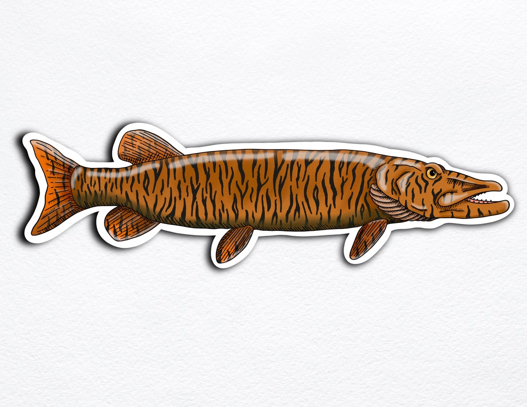 Tiger Musky Fishing Sticker - Etsy