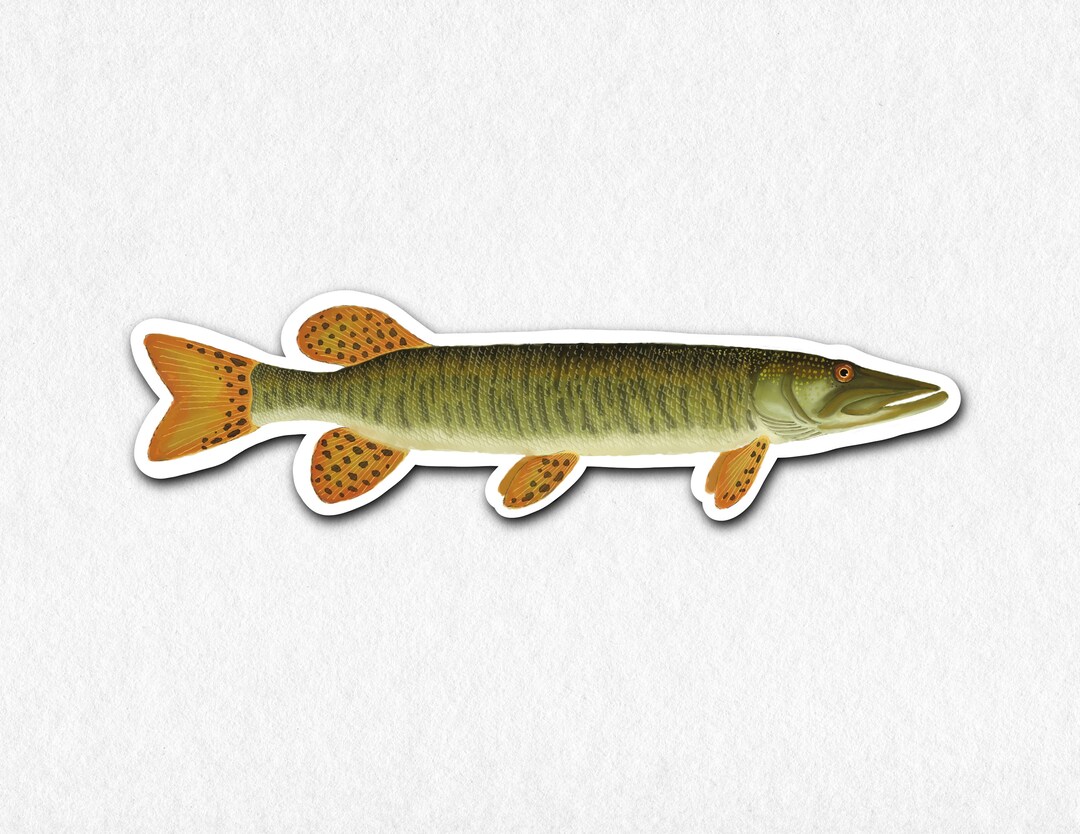 Musky Fishing Sticker - Etsy