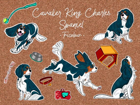 Tricolour Cavalier King Charles Spaniel Sticker Set Dog - Etsy