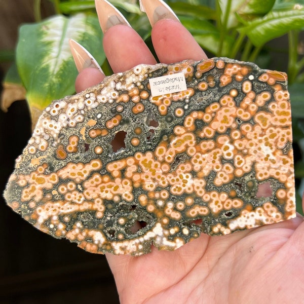Ocean Jasper 8th Vein - Etsy
