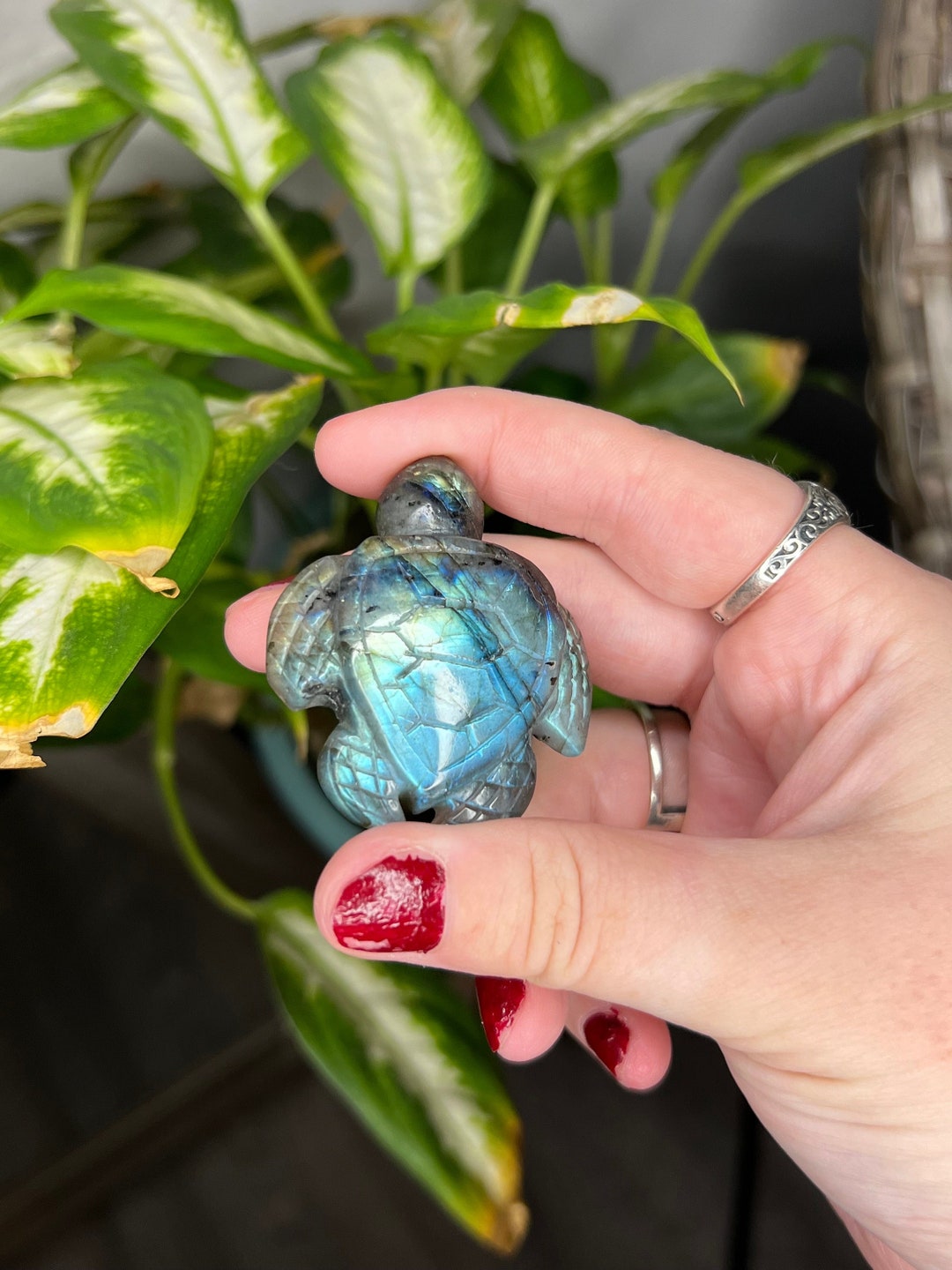 2 Inch Flashy Labradorite Turtle Blue Flash Labradorite - Etsy