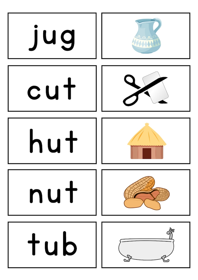 CVC Words. Picture Cards. Word Families. Matching Flashcards. - Etsy