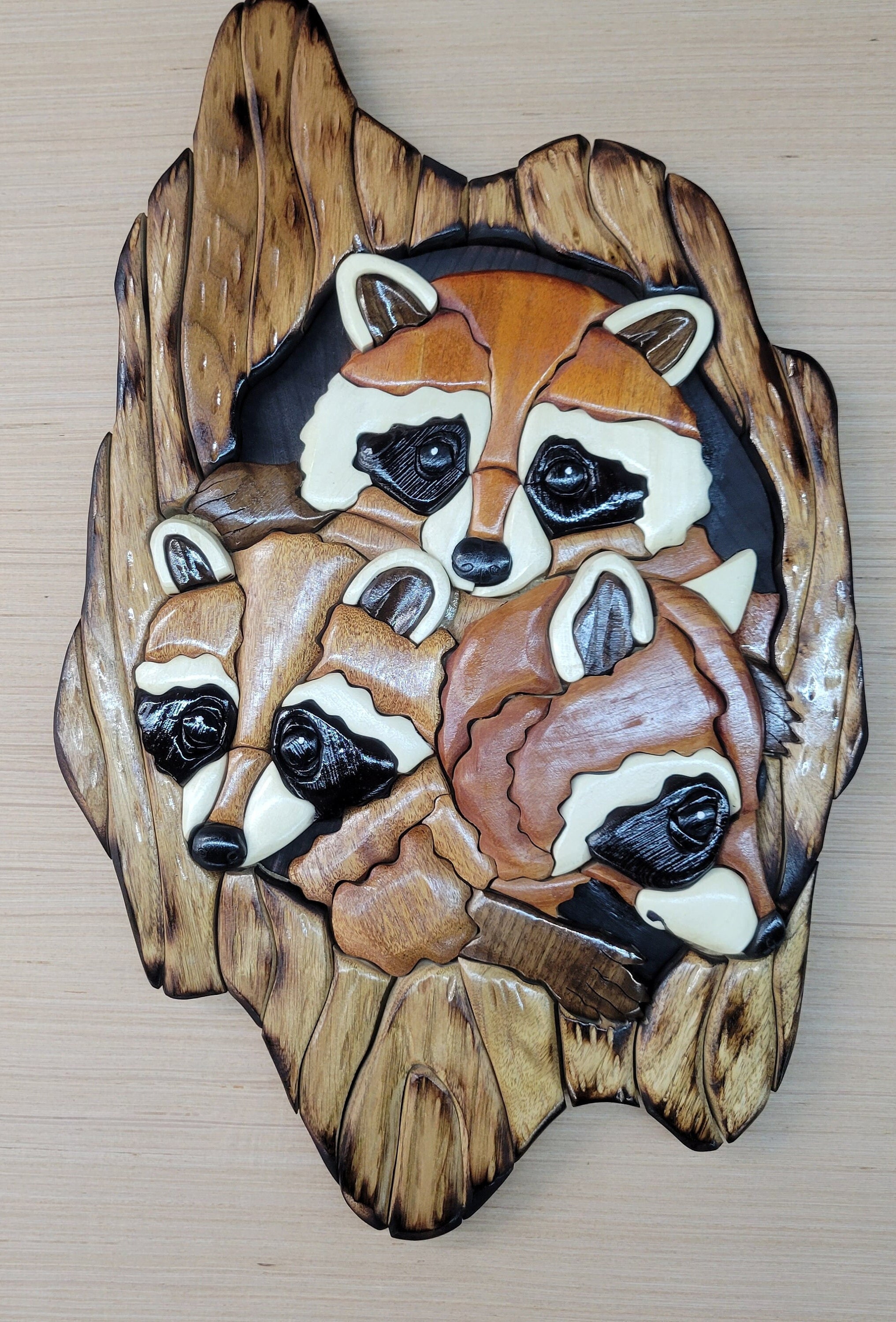 Raccoon Family Intarsia - Etsy