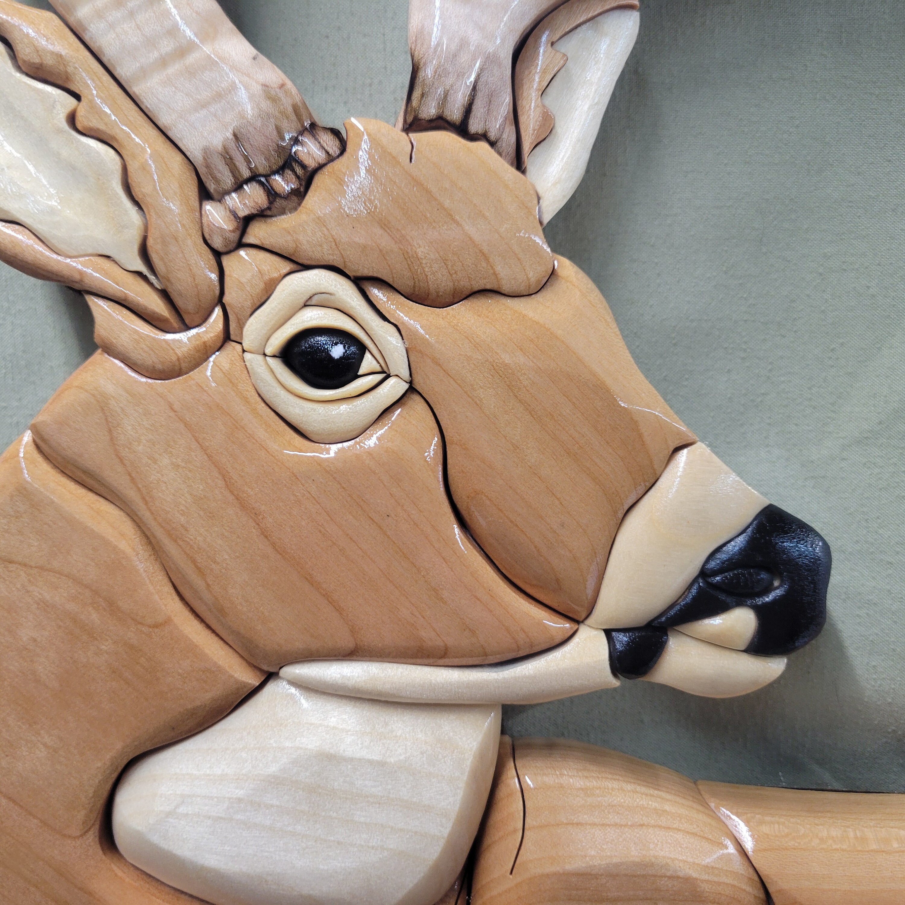Whitetail Buck Intarsia - Etsy