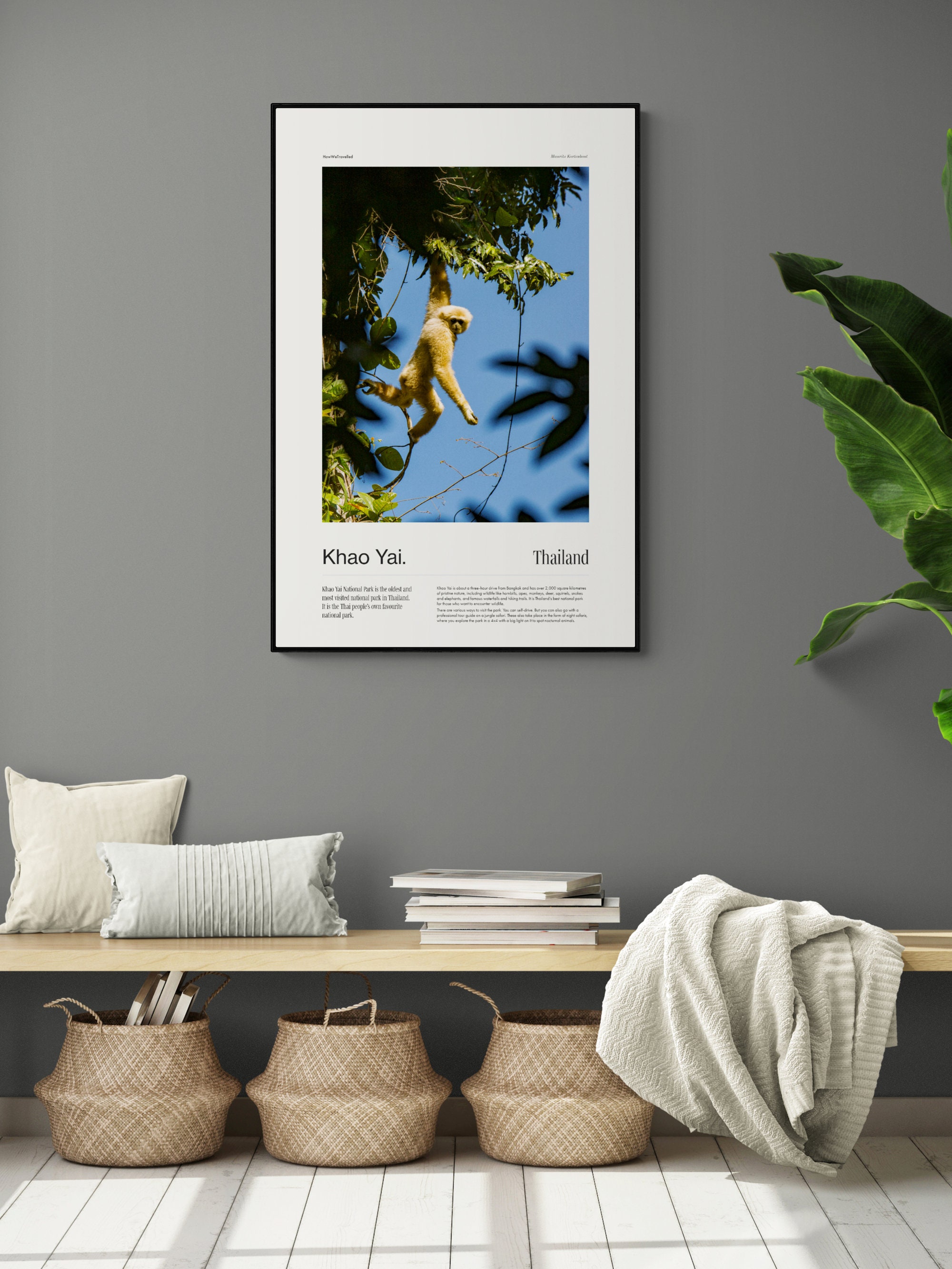 Infographic Poster White Gibbon Poster Khao Yai National - Etsy