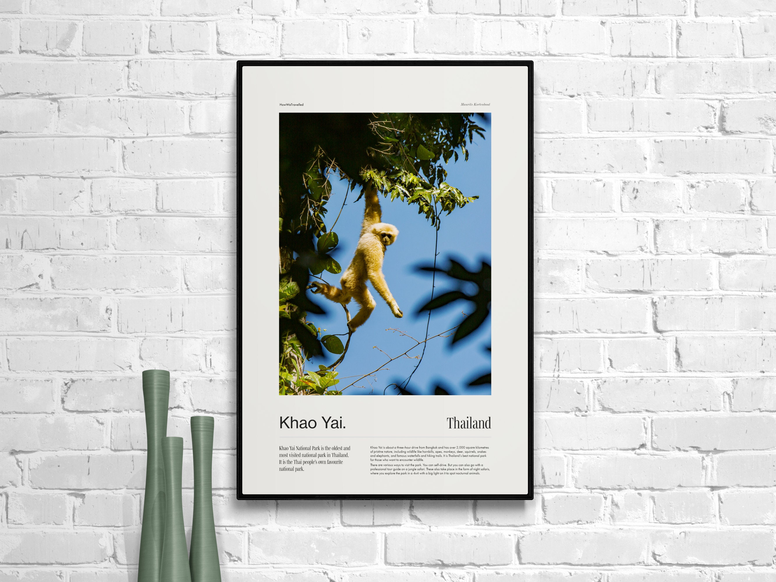 Infographic Poster White Gibbon Poster Khao Yai National - Etsy