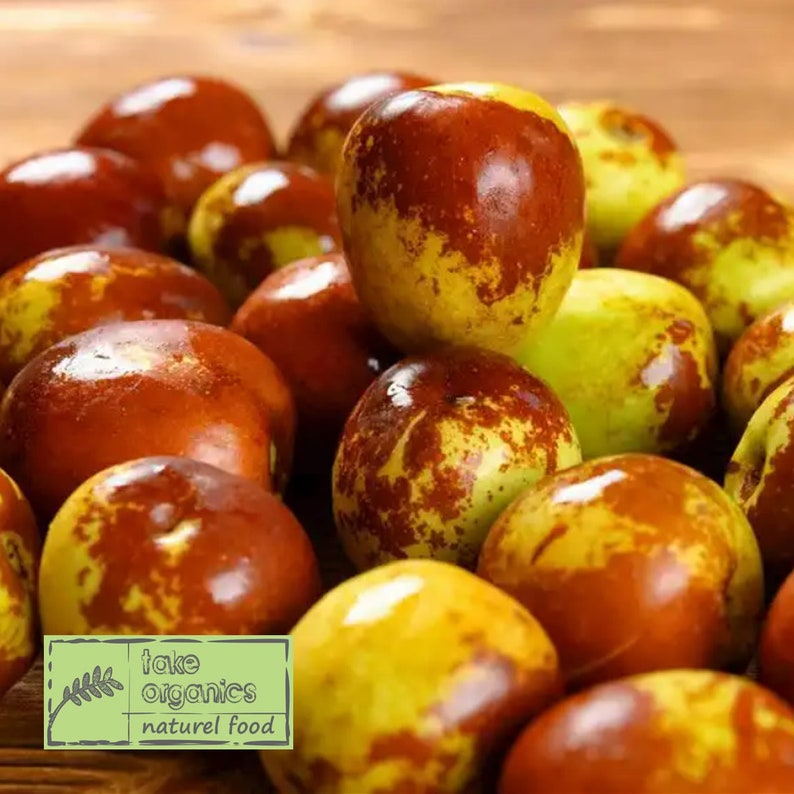 Jujube, Fresh Organic Jujube, Natural Jubube Fruit, Chinese Date – 500 ...