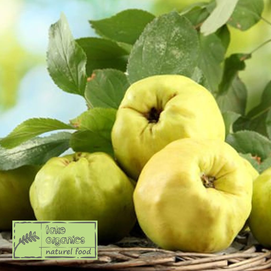 Organic Natural Quince ,fresh Quince Fruit ,seasonal Taste, 1kg - FREE ...