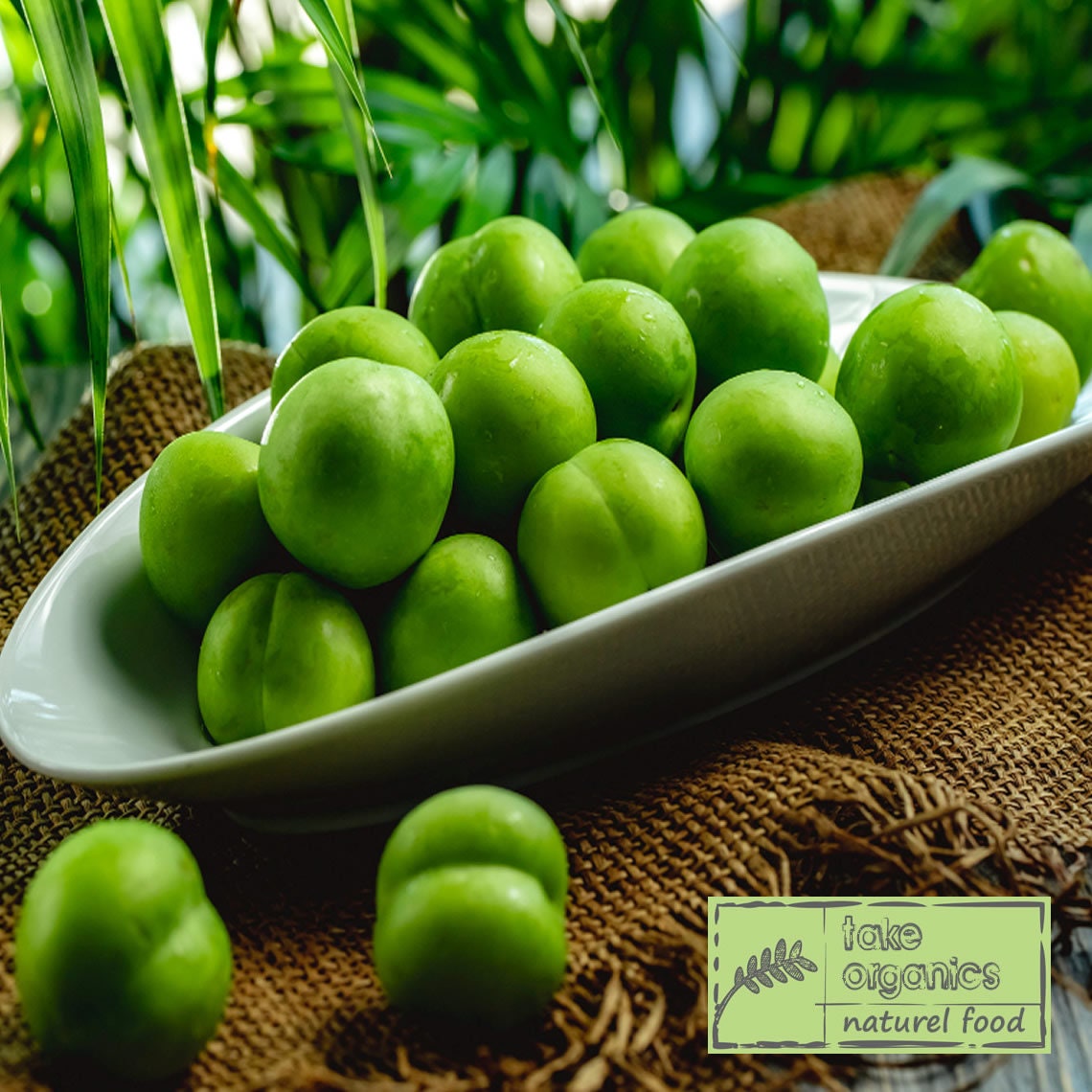 Green Gage, Green Sour Plum, Green Plum Fruit, Popular Fruits, Best ...