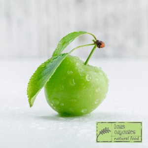 Green Gage, Green Sour Plum, Green Plum Fruit, Popular Fruits, Best ...