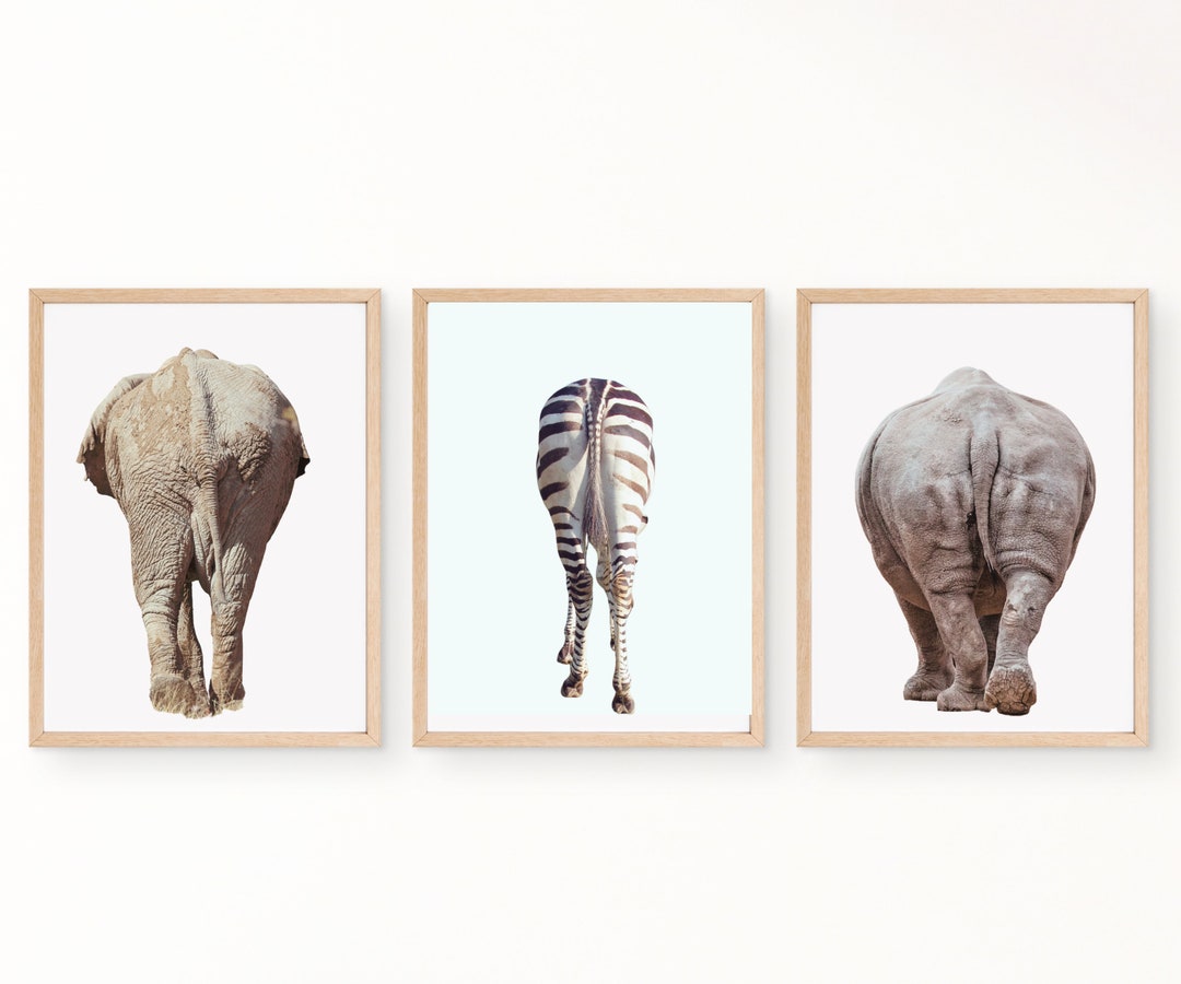 Safari Animal Set of 3, Animal Backside Bathroom Wall Decor, Funny ...
