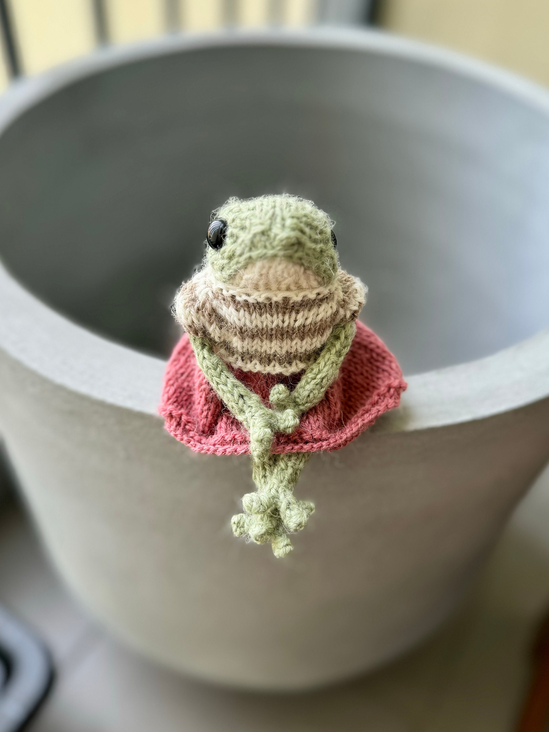 DIGITAL KNITTING PATTERN Frog Princess Dress for Knitted Frog - Etsy