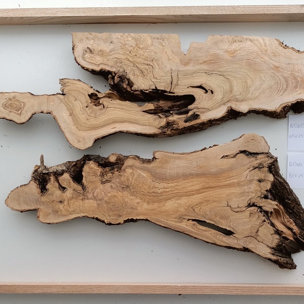 Burl Tree Ornaments - Etsy