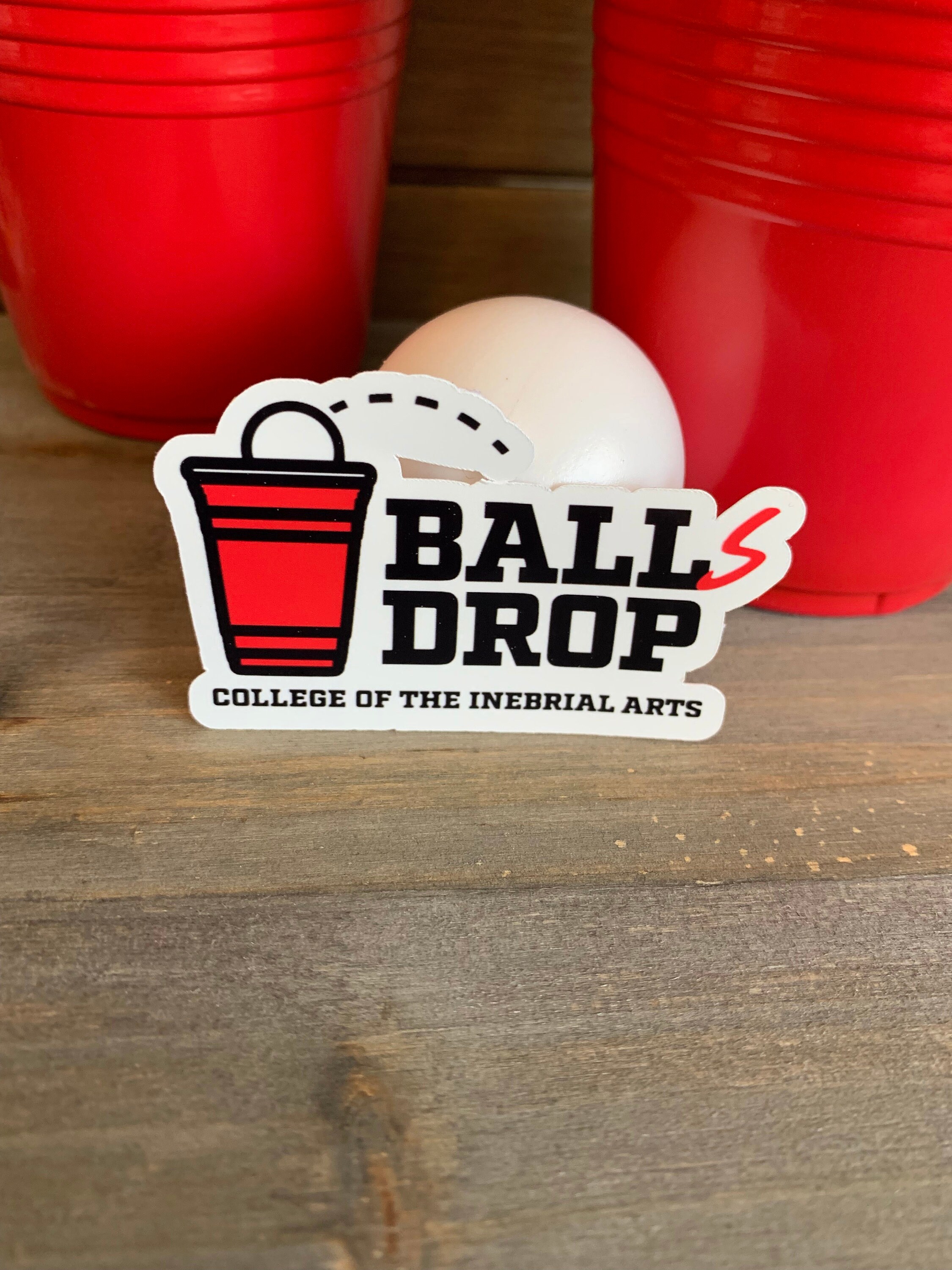 Beer Pong Champion Sticker Set - Etsy