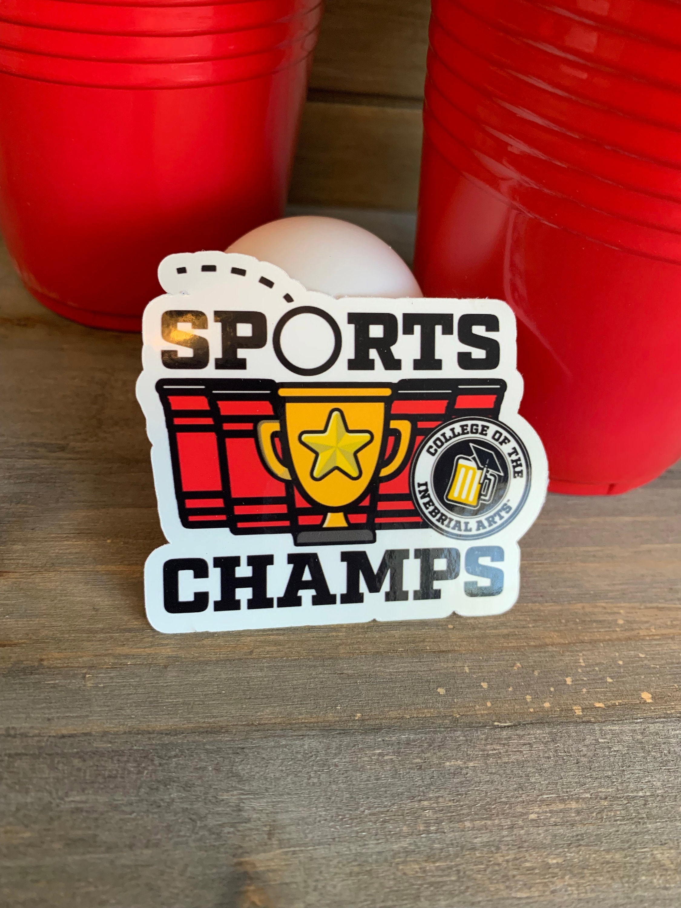 Beer Pong Champion Sticker Set - Etsy