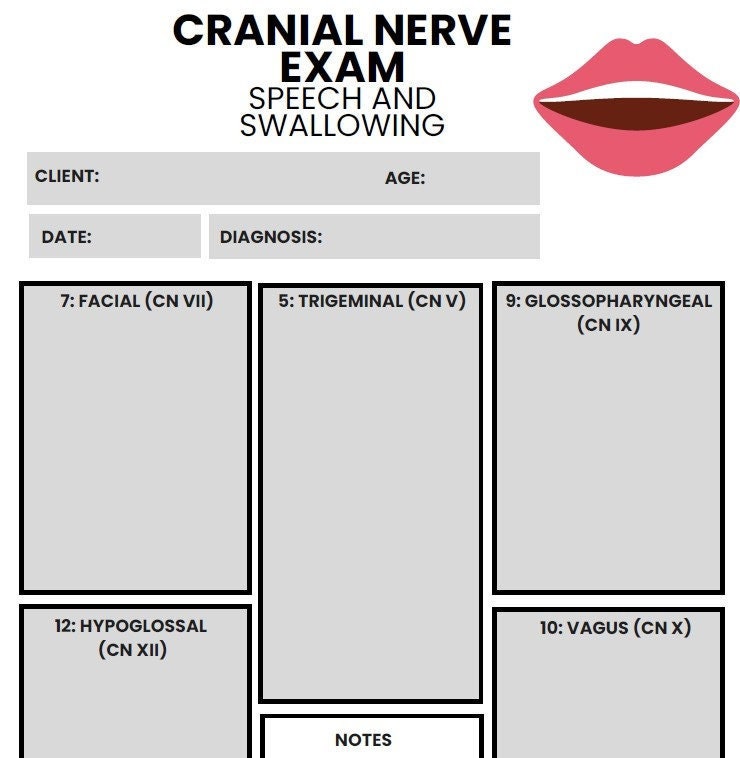 Cranial Nerve Exam for Speech and Swallowing, Instant Download ...