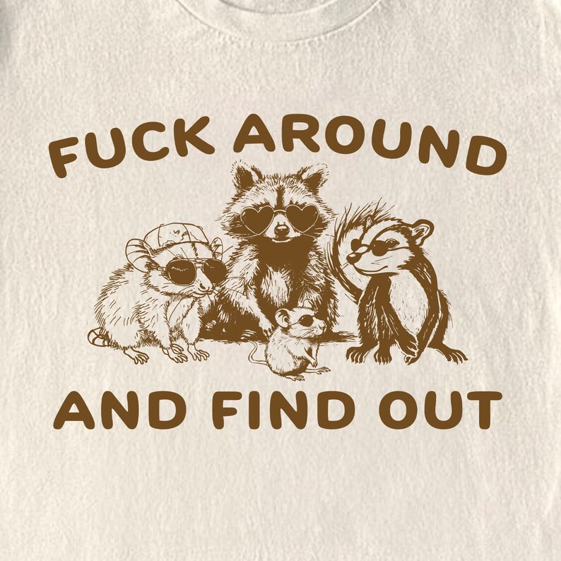 Fuck Around and Find Out • Funny Meme Shirt • Retro Raccoon Graph T ...
