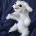 Baby Falkor, Baby Dragon, Falkor, Art Doll - Etsy