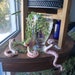 Set of 3 Snakes, Bookcase Snake, Planter Snake, Table Top Snake 3 ...