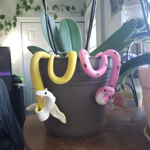 Banana Pot Snake, Pot Snake, Banana Snake - Etsy