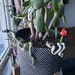 Set of 3 Snakes, Bookcase Snake, Planter Snake, Table Top Snake 3 ...