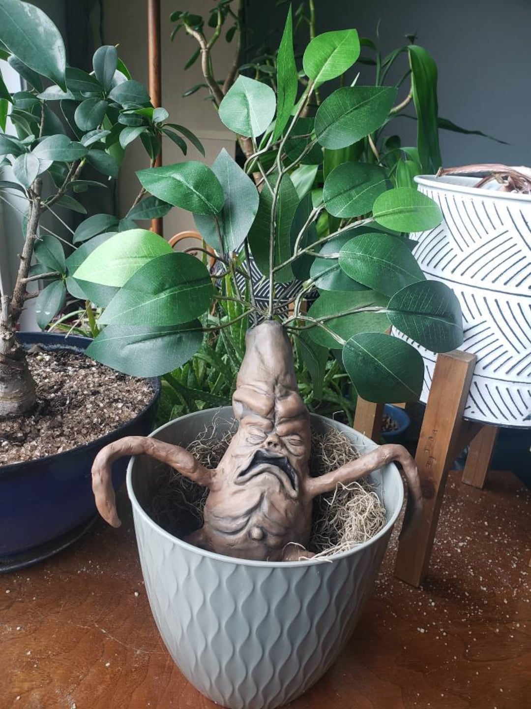 Clay Mandrake, Medium, Clay Sculpture - Etsy