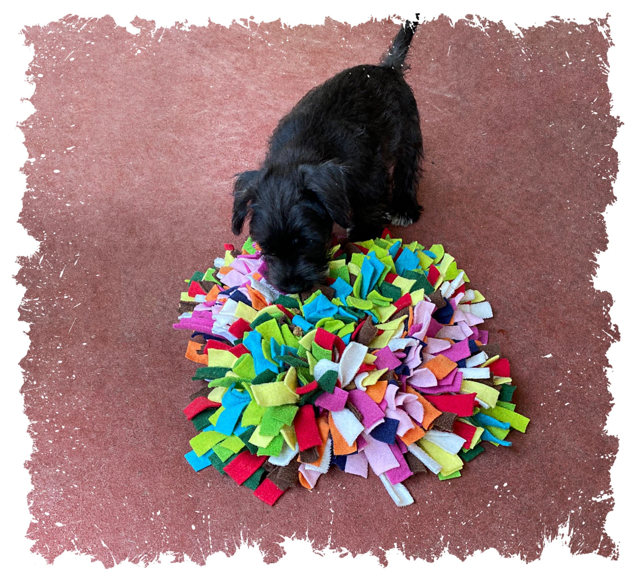 Snuffle Mat | Rooting Mat | Treat Rug | Made Special for Dogs, Cats ...