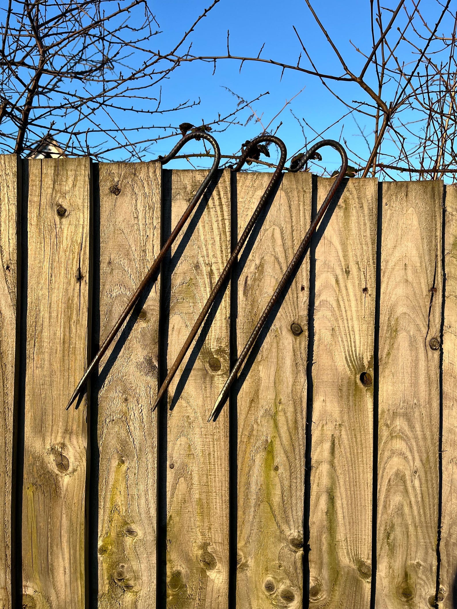 Garden or Planting Stakes - Upcycled From Rebar - Etsy