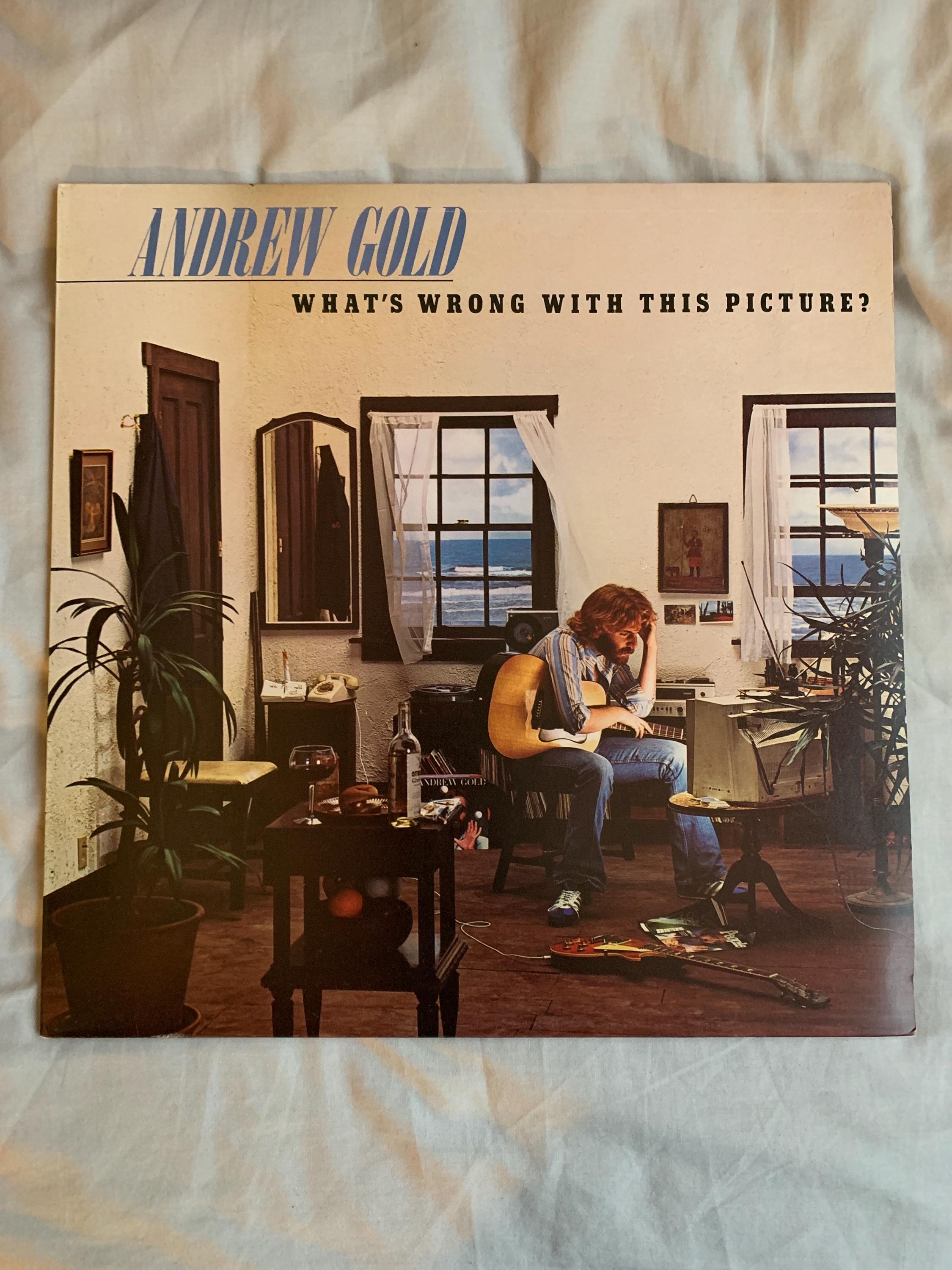 Andrew Gold - What's Wrong With This Picture - Etsy