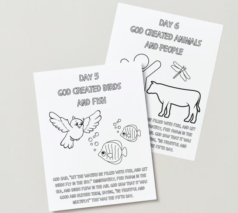 The Story of Creation Printable Coloring Book - Etsy
