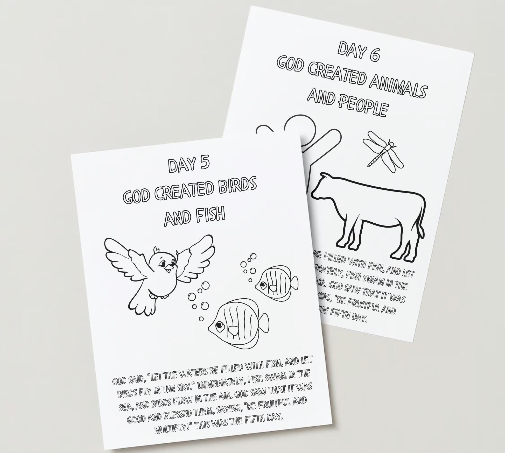 The Story of Creation Printable Coloring Book - Etsy
