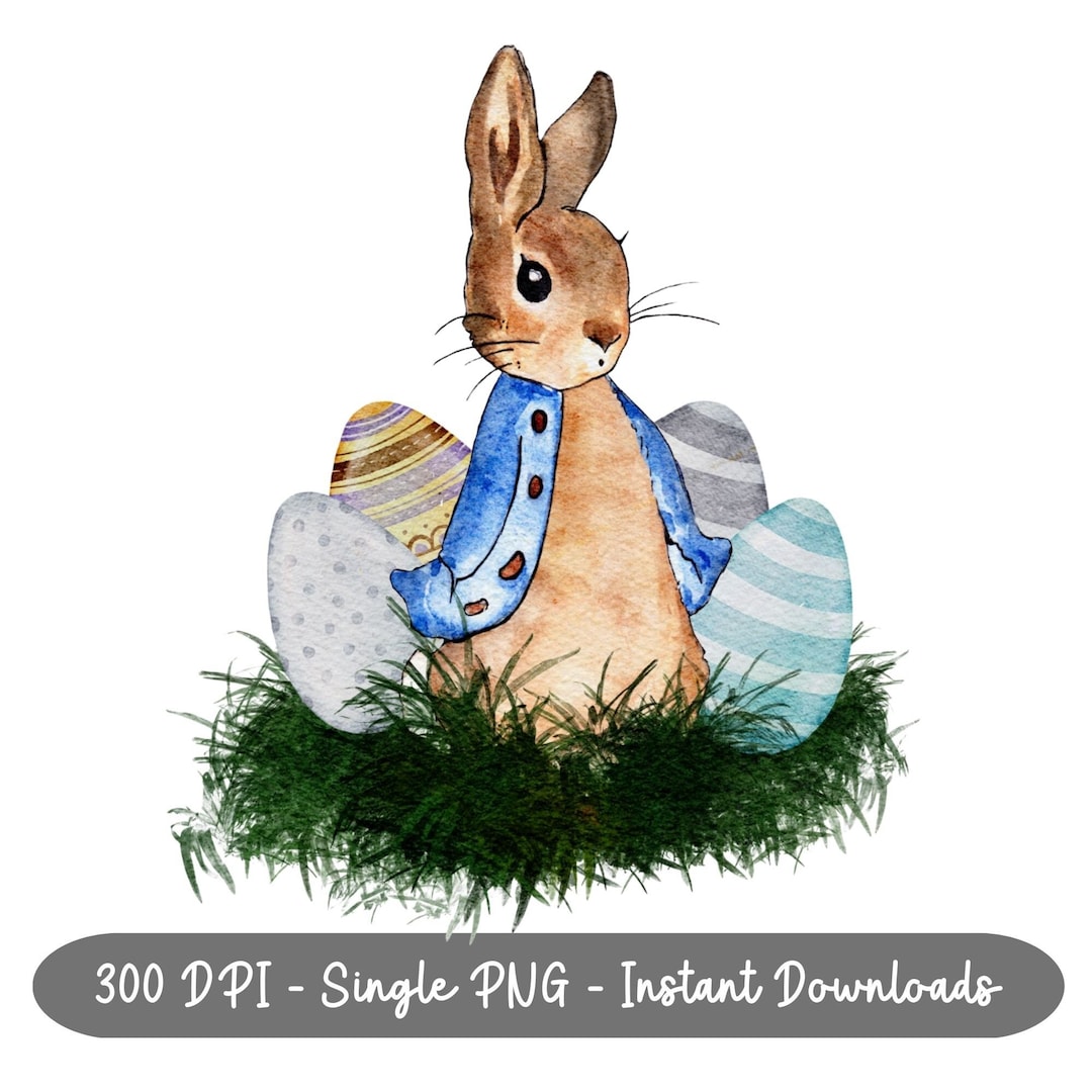 Peter Rabbit Blue Easter PNG, Spring Kids Sublimation PNG, Baby T-shirt ...