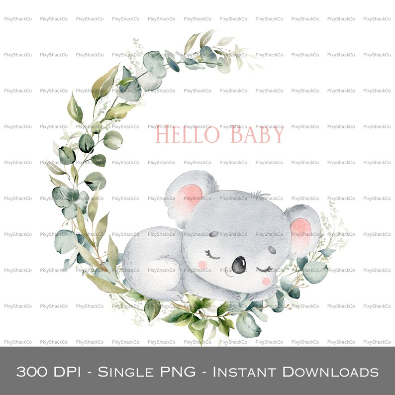 Hello Baby Koala PNG, New Baby, Baby Announcement, Hello Baby Girl ...