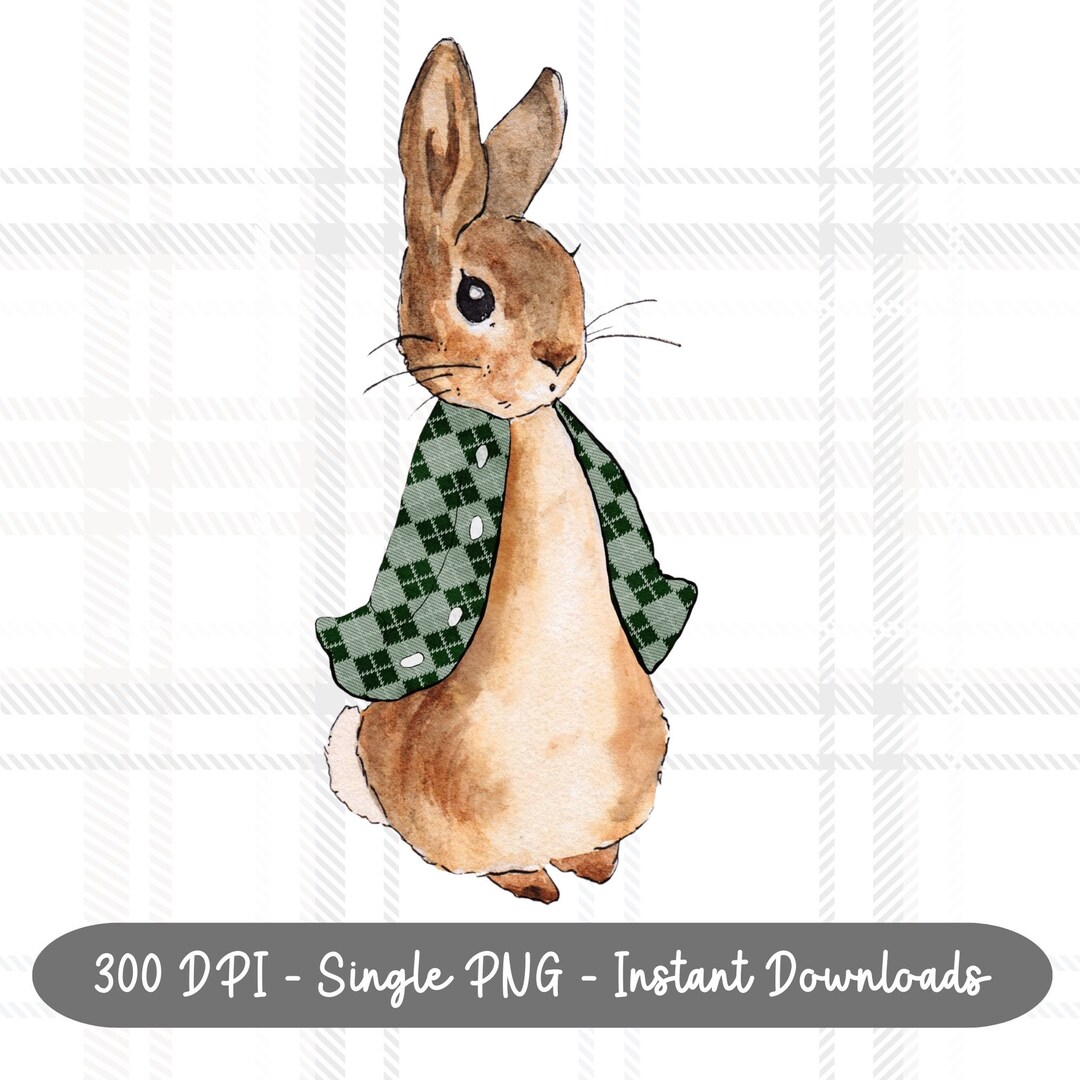 Peter Rabbit Christmas PNG, Peter Rabbit Sublimation Design, Bunny in ...