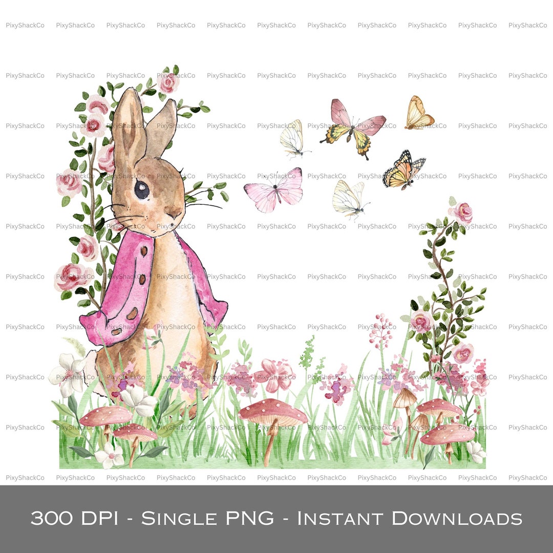 Peter Rabbit Spring PNG, Peter Rabbit Card Design, Kids Sublimation ...