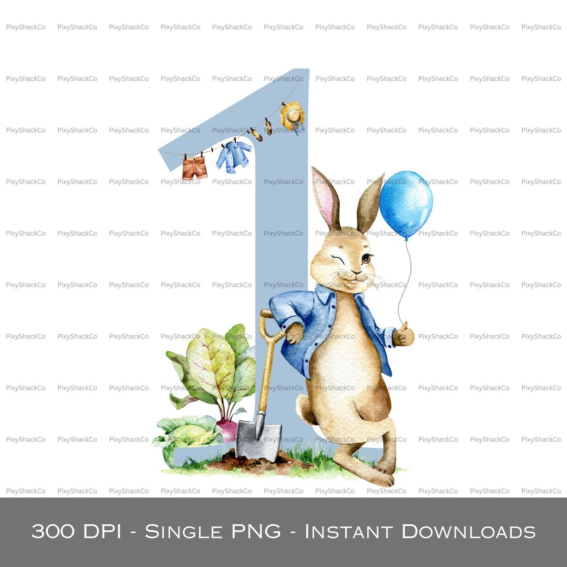 Peter Rabbit 1st Birthday, Peter Rabbit Card Design, First Birthday ...