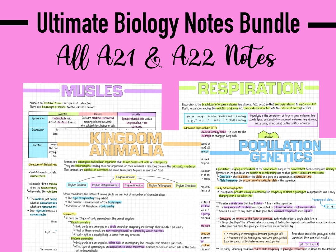 ULTIMATE Biology A Level Notes Bundle - Etsy