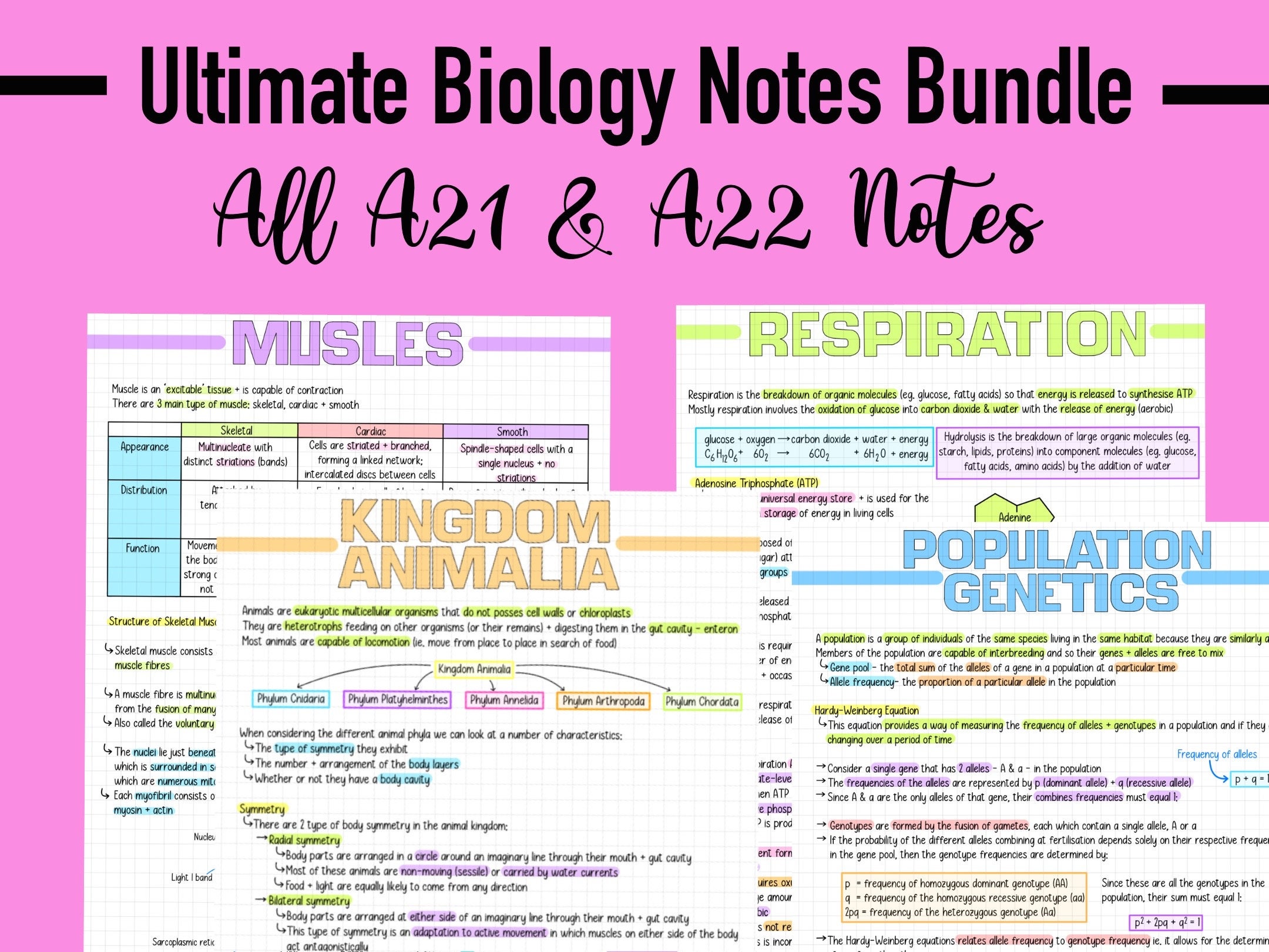 ULTIMATE Biology A Level Notes Bundle - Etsy